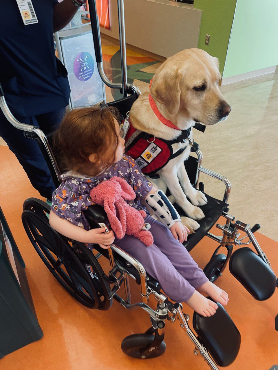 Facility Dogs offering comfort & hope at MN Hospital - KLN Family Brands
